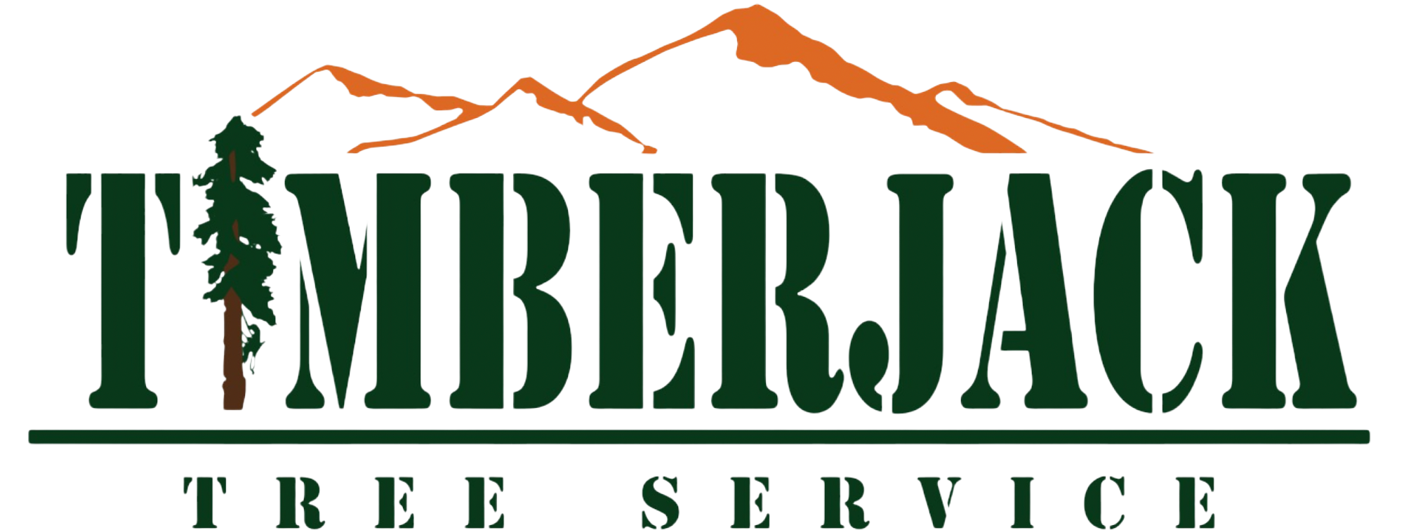 Aliz Gosztola Portfolio